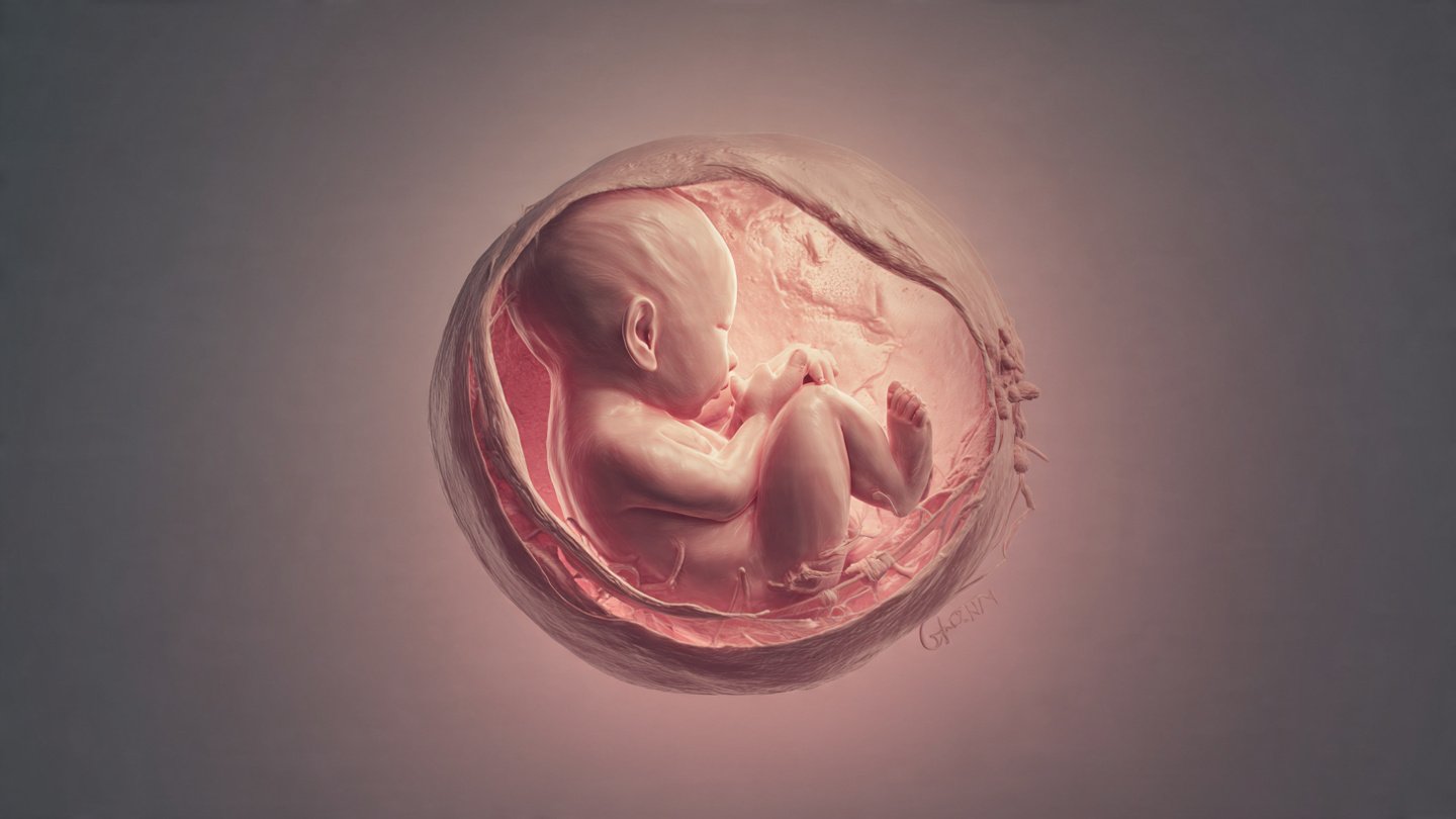 When Do Pregnant Women Feel Baby Movements?